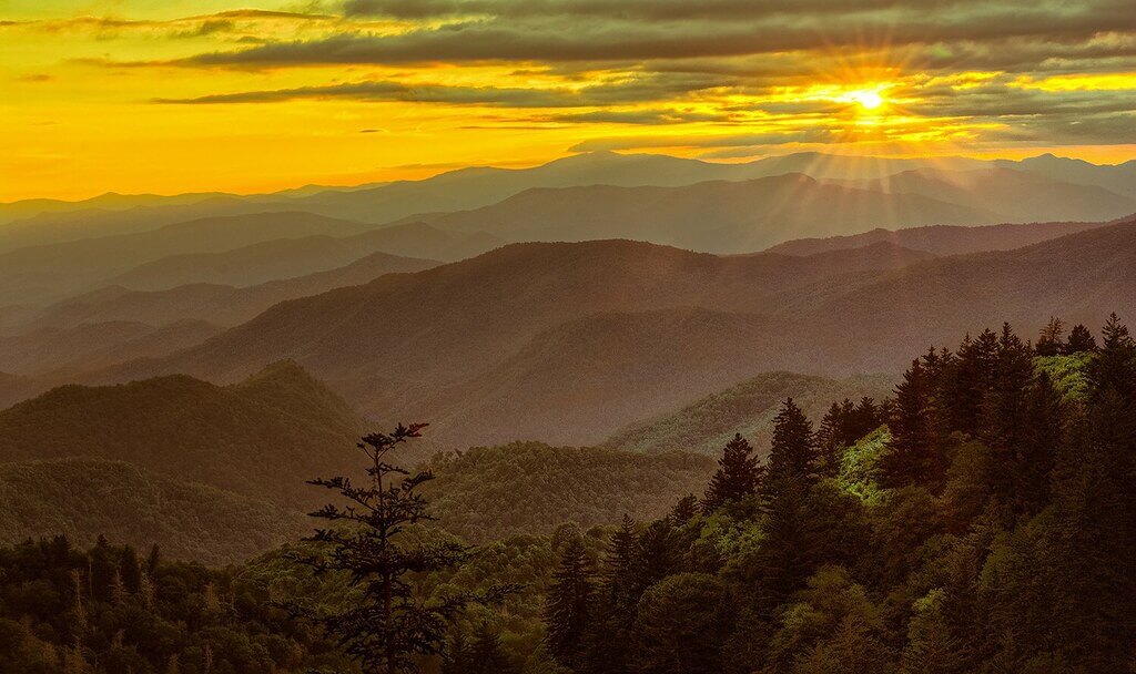 Population estimates for 2020 districts in NC | Carolina Demography