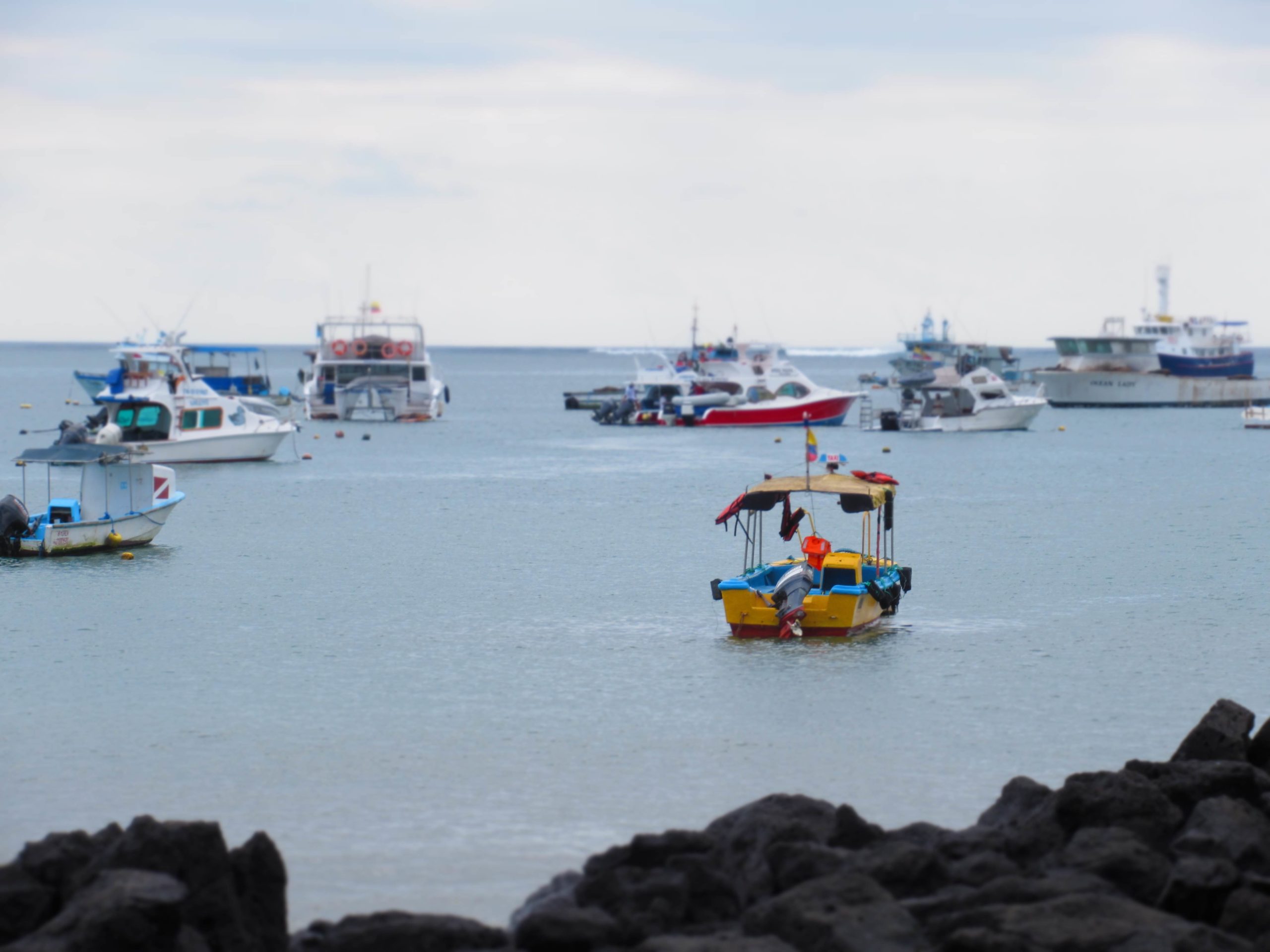 Understanding the impact of tourism on the Galapagos Islands | Carolina ...